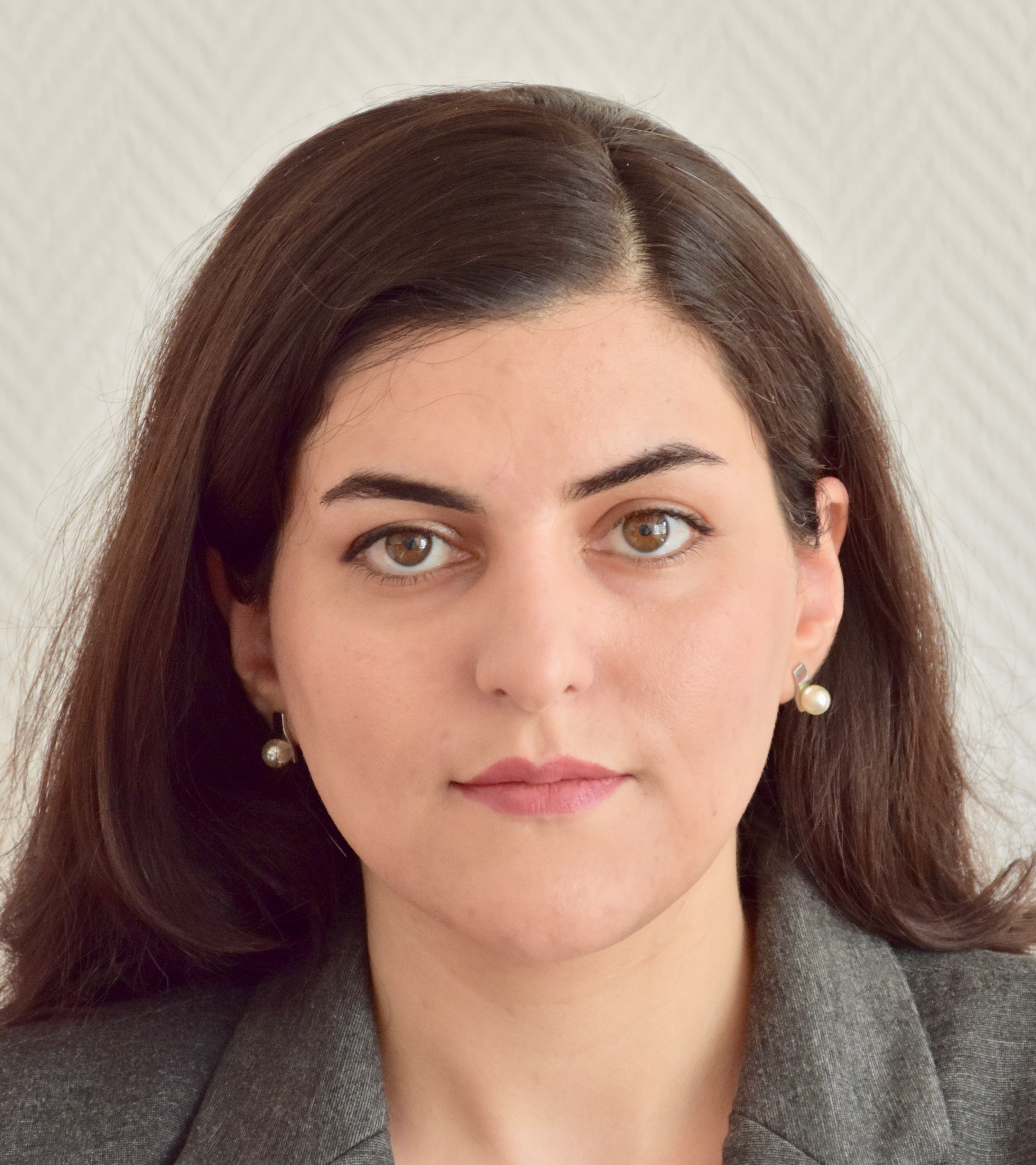 Dr. Somayeh Khani - Institut für Metallurgie